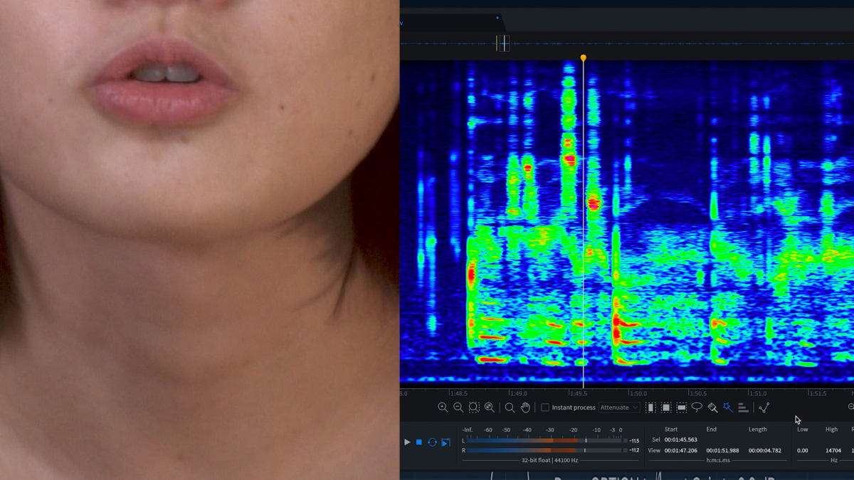 Michael Joo Amplifies the Invisible | Ocula